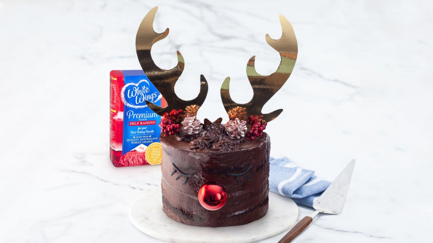 Chocolate Rudolph Cake | White Wings